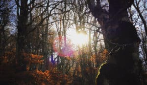 10 Natural Parks in Madrid to discover in Fall - dreampeaks